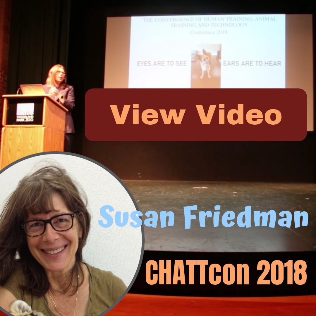 Susan Friedman free download - CHATTcon